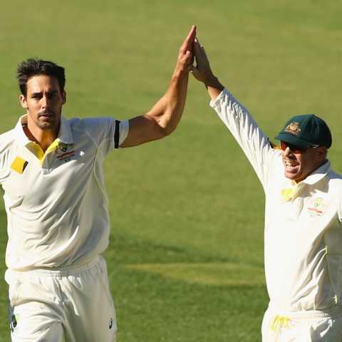 mitchell johnson bowling stats