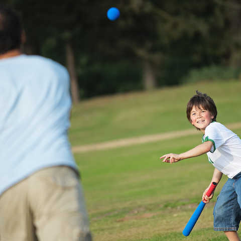 rohan gavaskar record