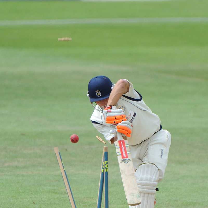 michael bates cricket