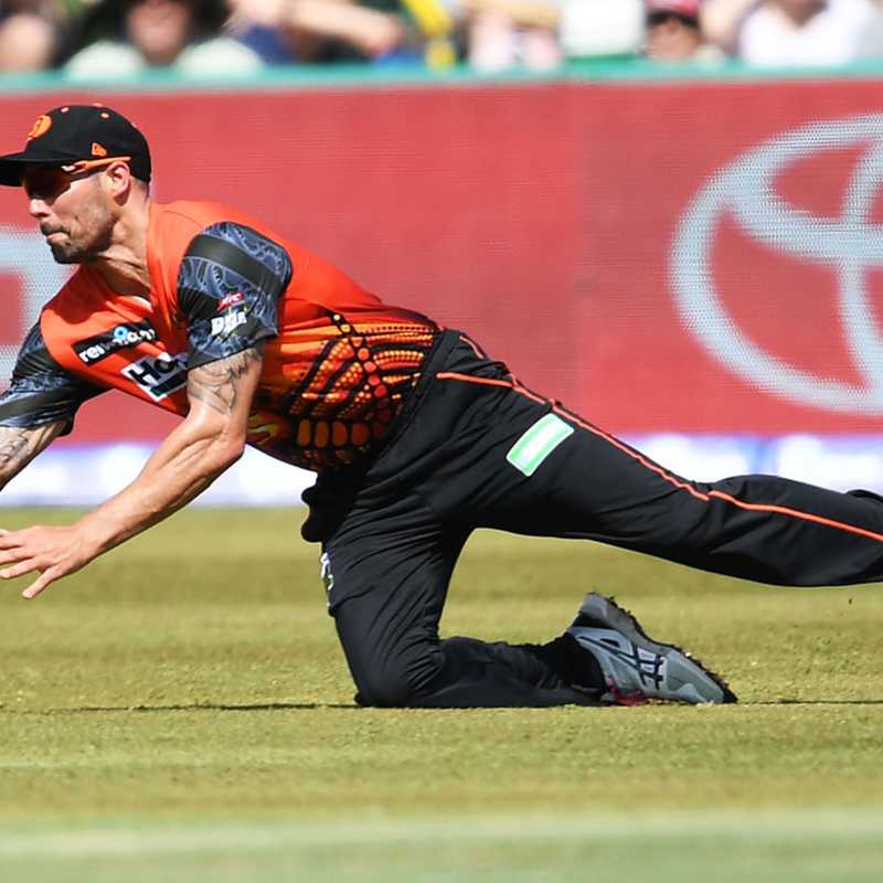 Mannequin De Joueur De Cricket Mitchell Johnson