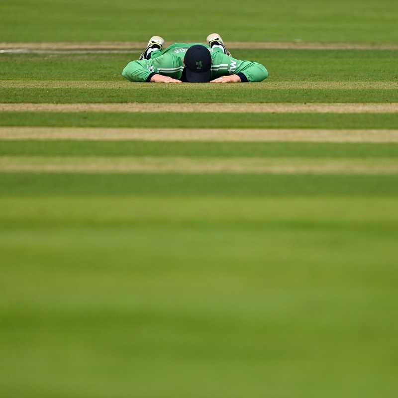 william porterfield stats