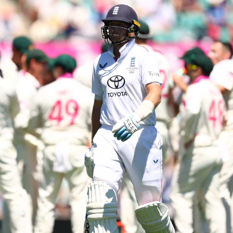 where does joe root come from