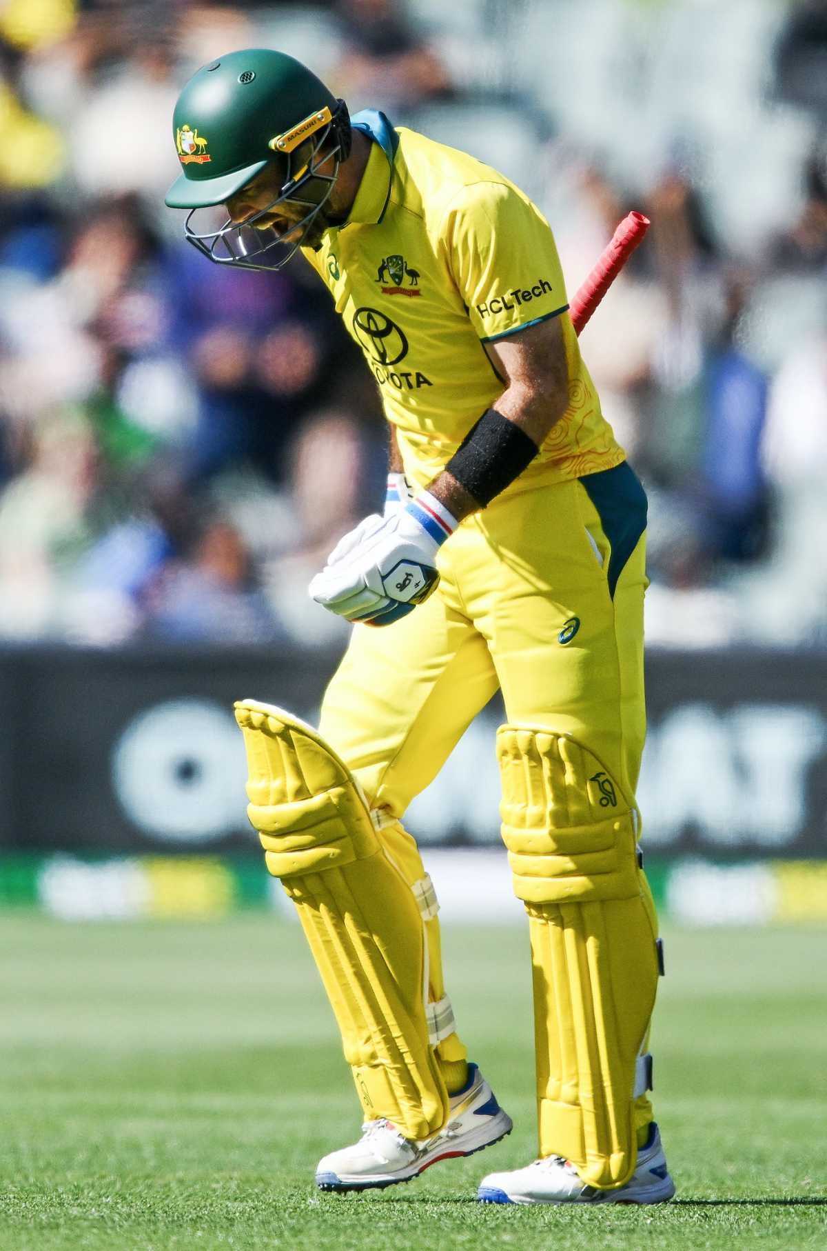 Glenn Maxwell Wallpapers IPL In UAE Will Level Playing Field For T20