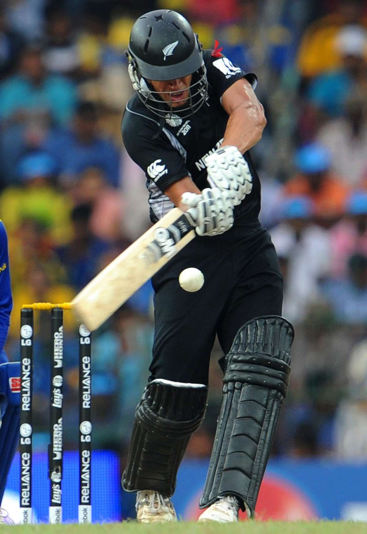 kane williamson 2011