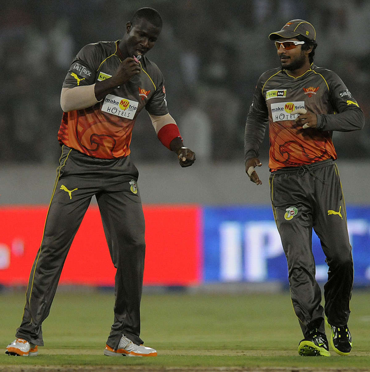 darren sammy sunrisers hyderabad