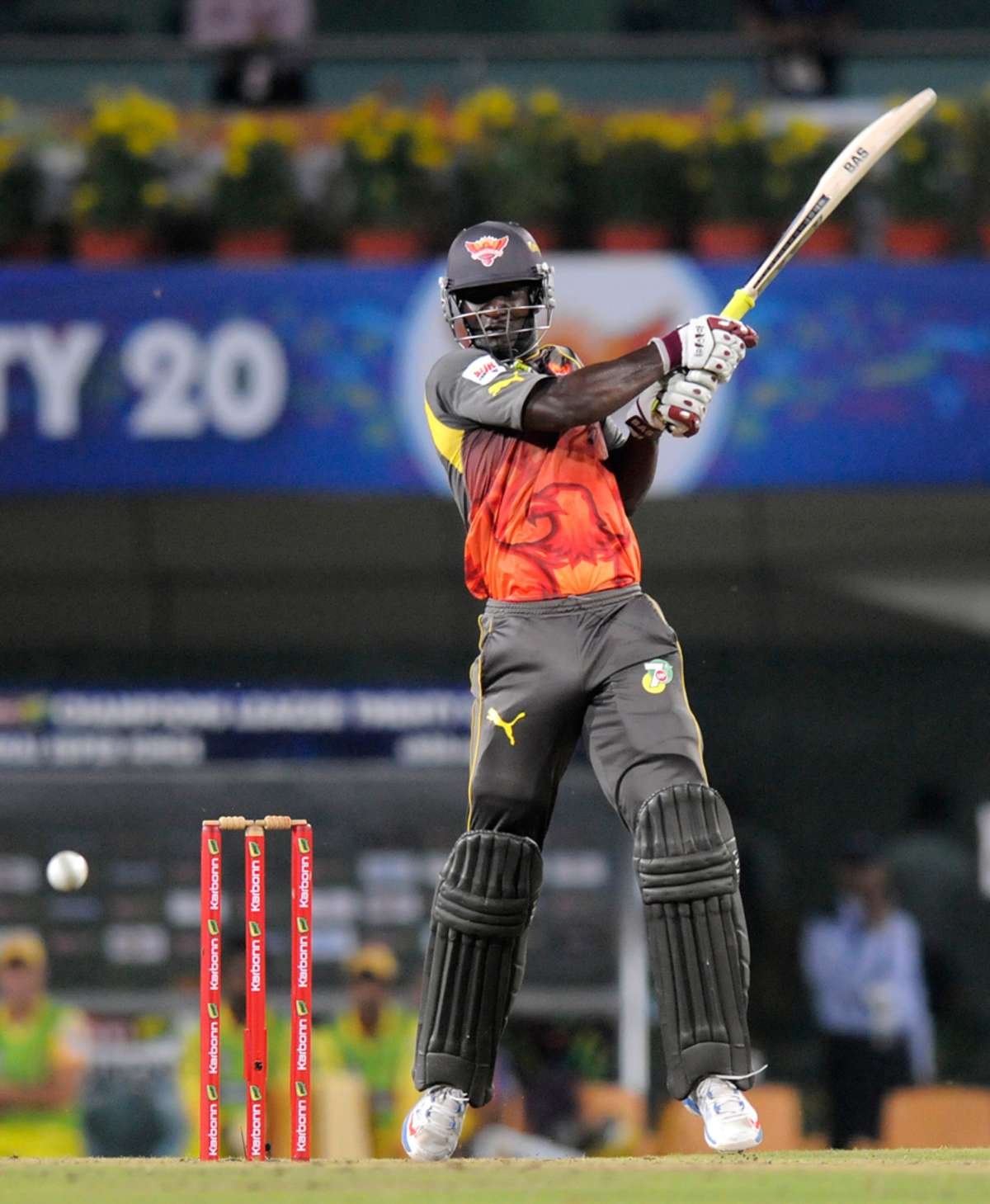 darren sammy sunrisers hyderabad