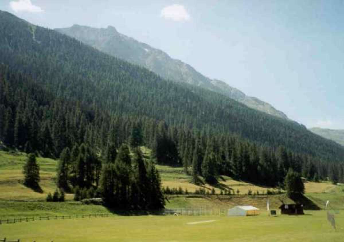 michael strong cricket