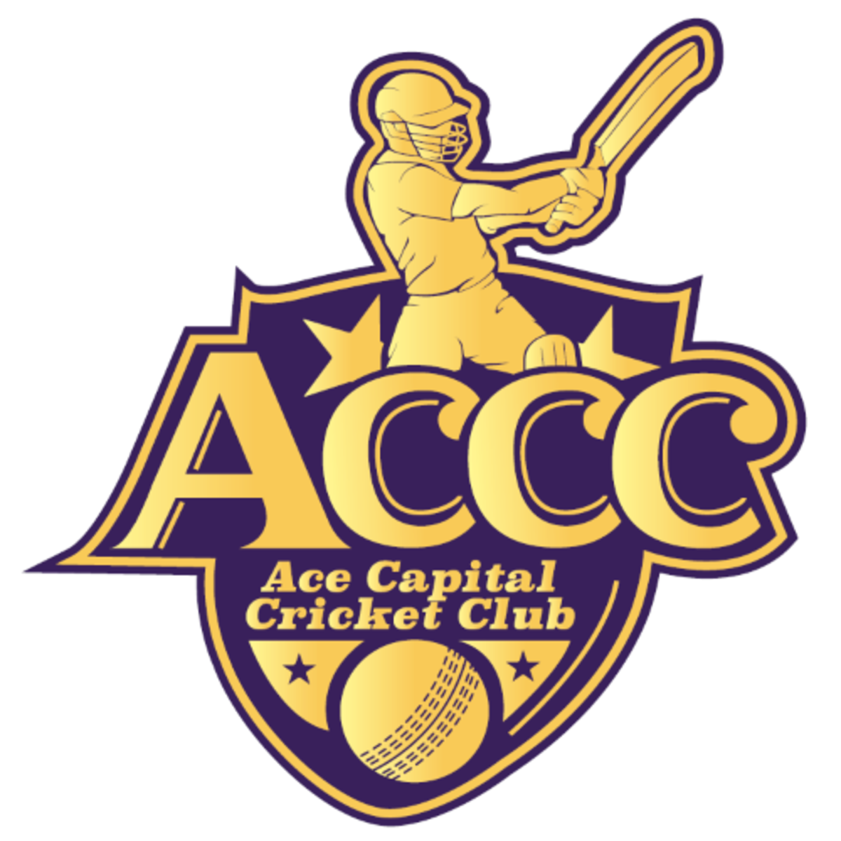 aces cricket logo