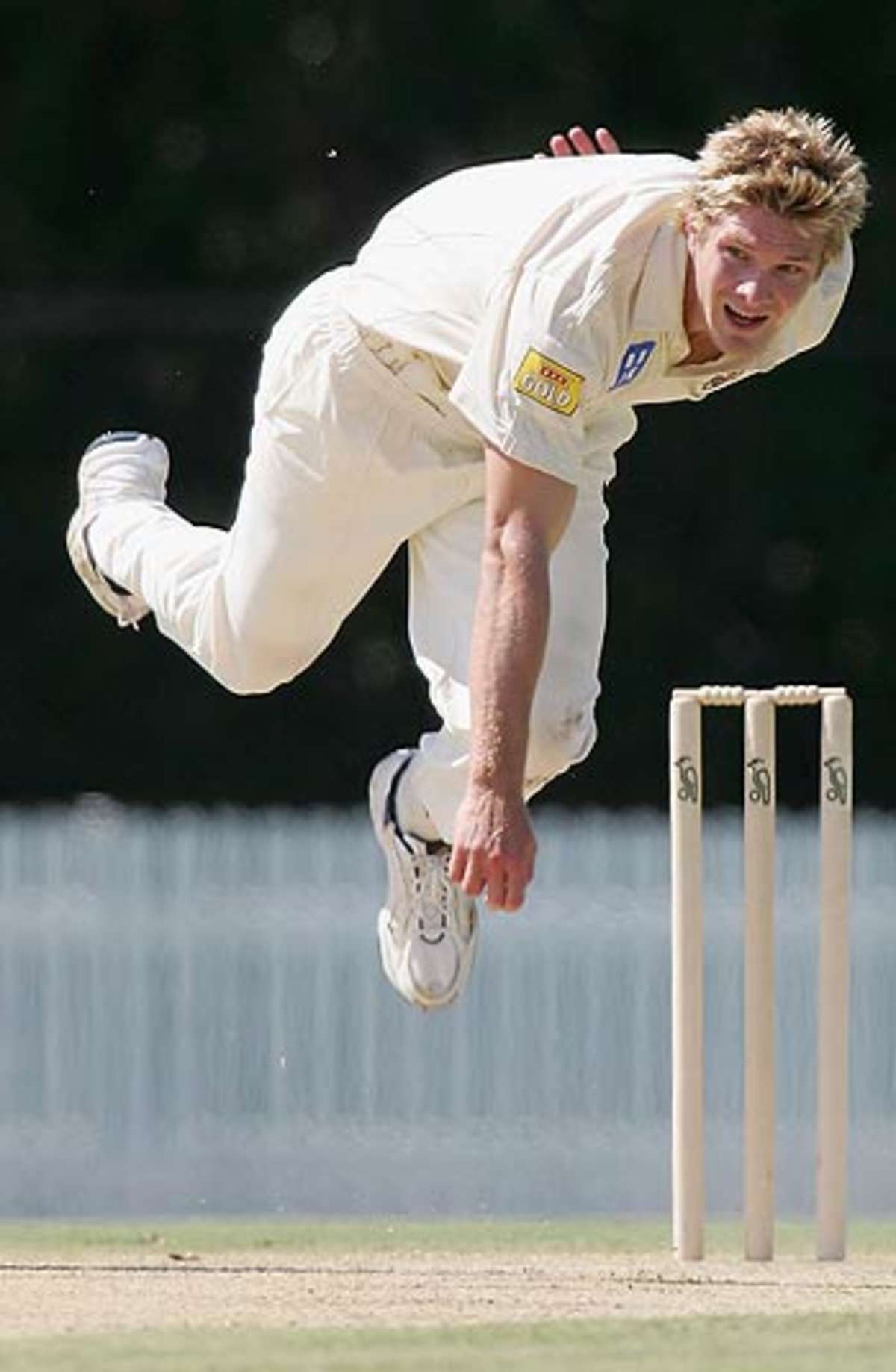 shane watson bowling