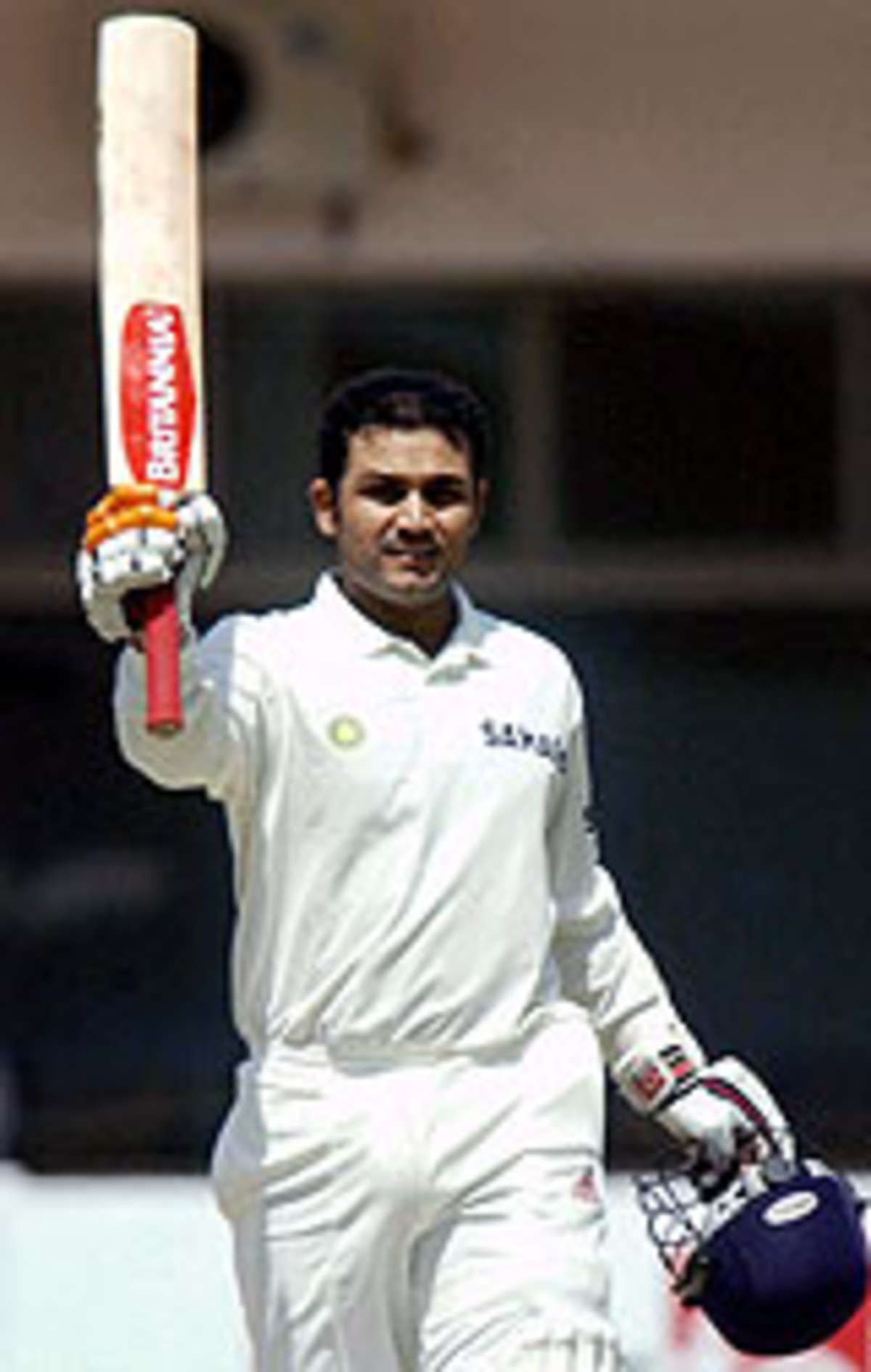 virender sehwag total sixes