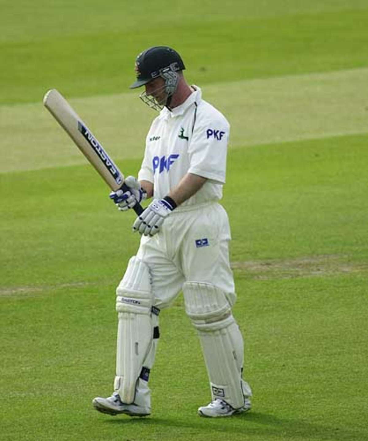 paul greenidge