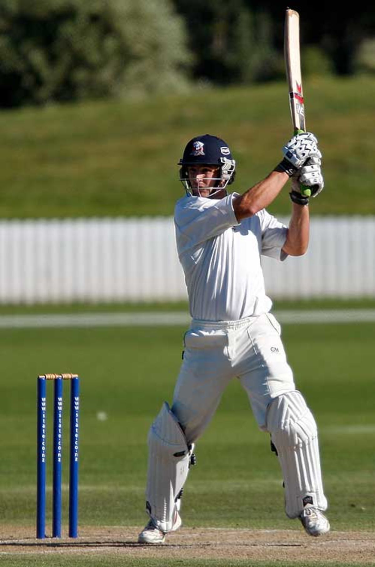 Colin de Grandhomme and Gareth Hopkins got Auckland home with an ...