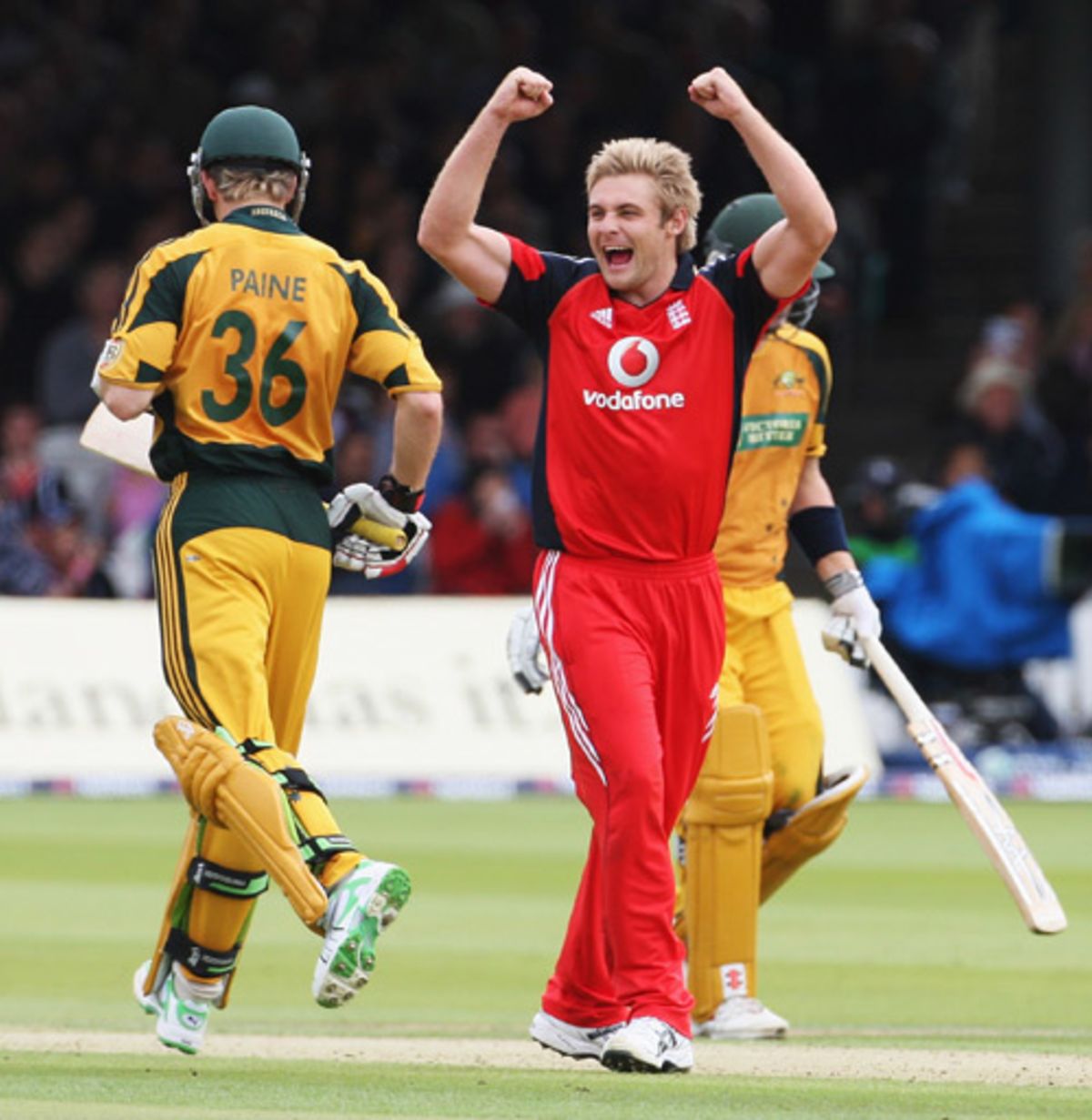 Luke Wright raises his arms in celebration of Tim Paine's wicket ...