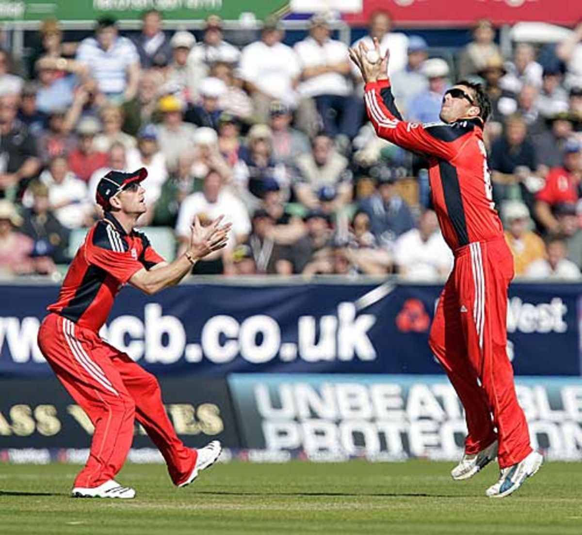 Graeme Swann celebrates his fifth wicket after bowling Brett Lee ...