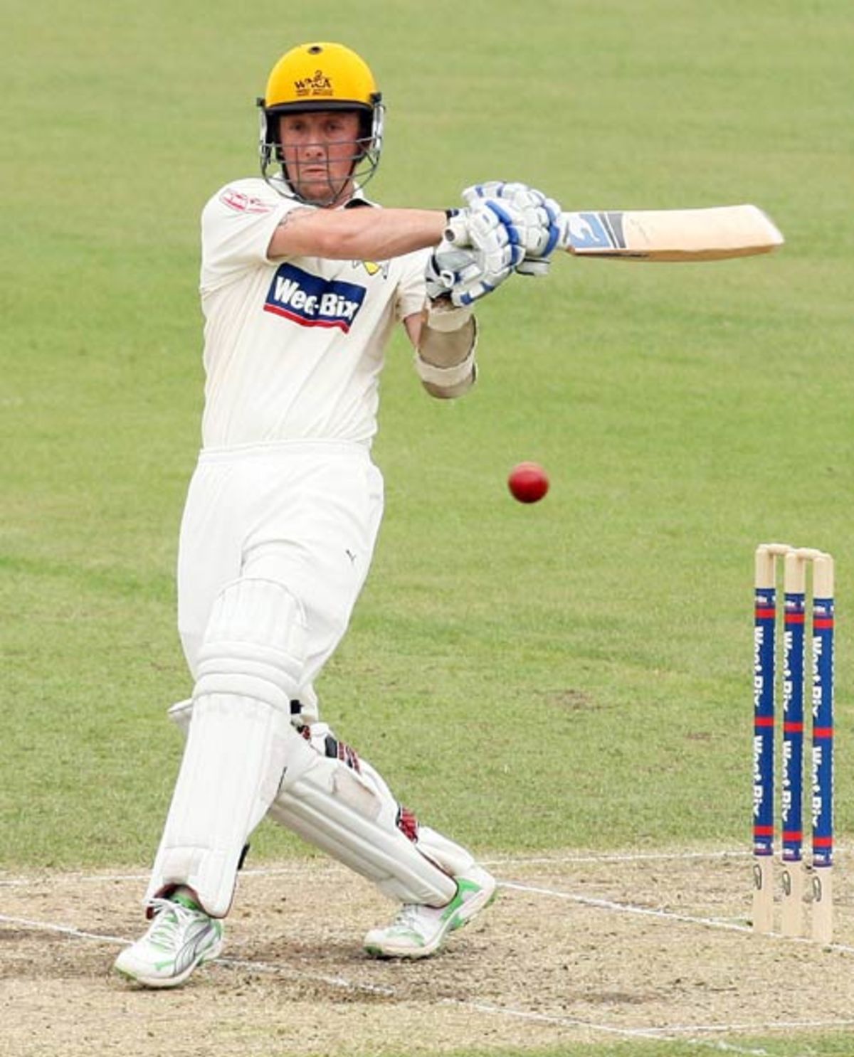 Luke Ronchi celebrates his hundred | ESPNcricinfo.com