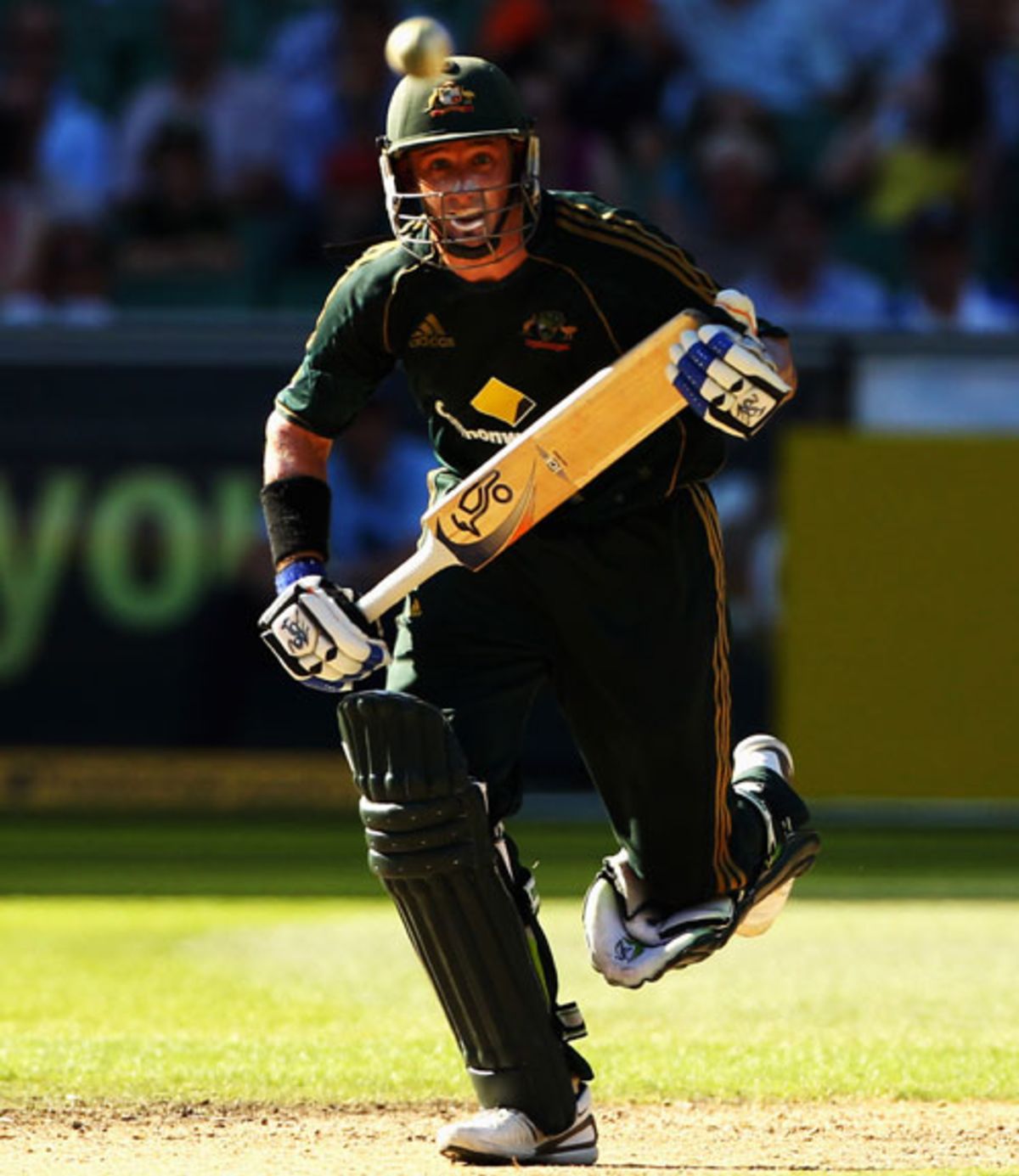 Hashim Amla plays a short delivery | ESPNcricinfo.com