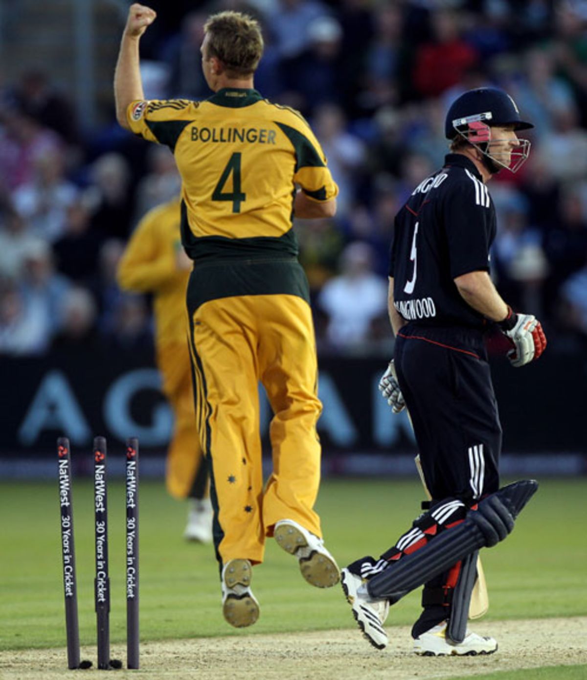 Doug Bollinger celebrates bowling Paul Collingwoood | ESPNcricinfo.com Doug Bollinger celebrates bowling Paul Collingwoood | ESPNcricinfo.com