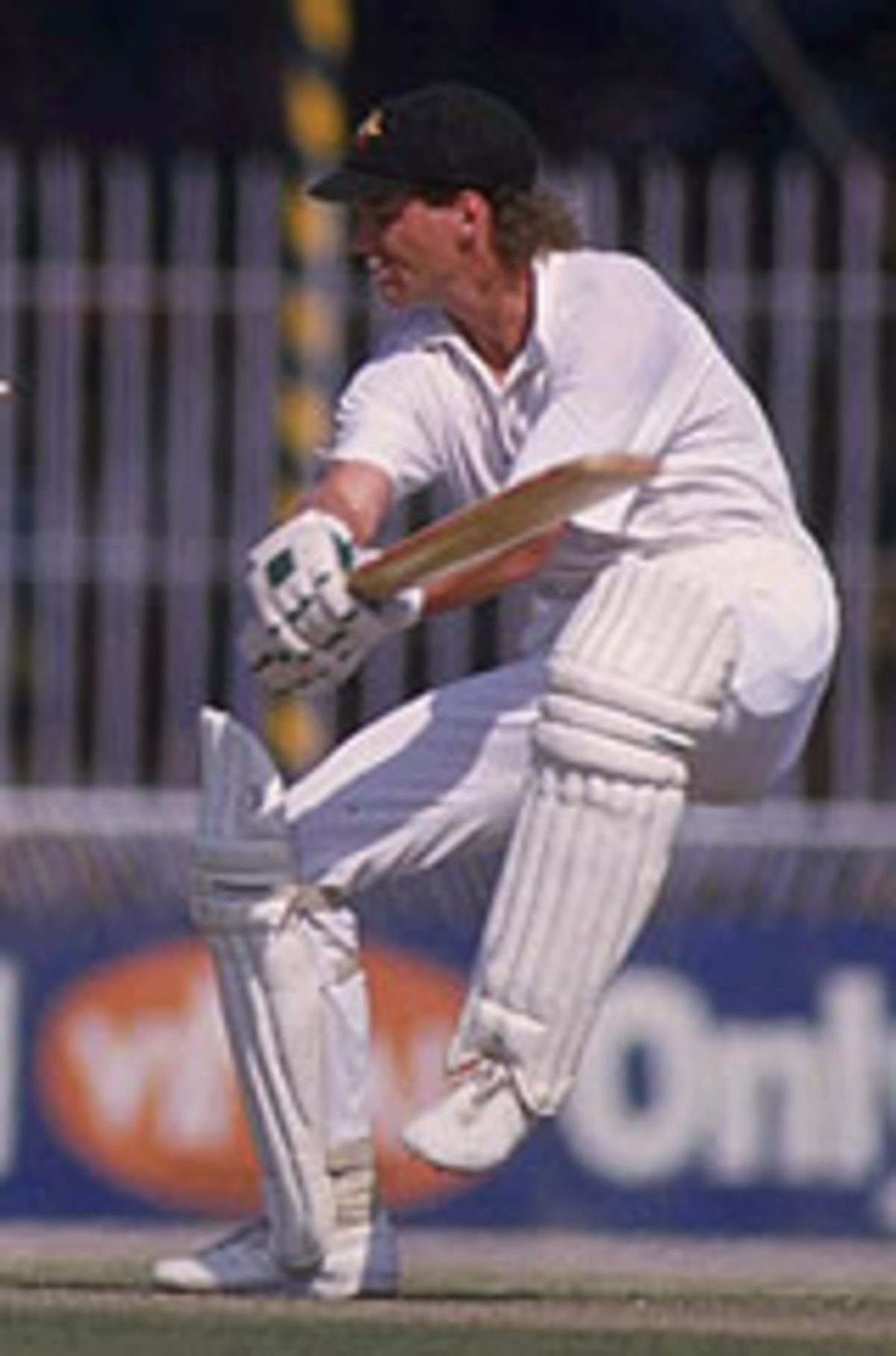 Lehmann celebrates his century | ESPNcricinfo.com