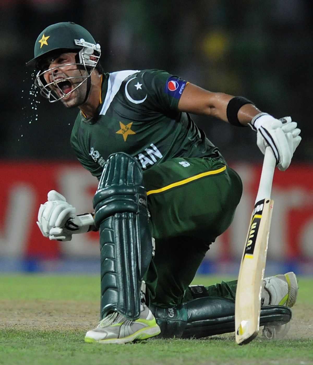 Umar Akmal celebrates a come-from-behind victory | ESPNcricinfo.com