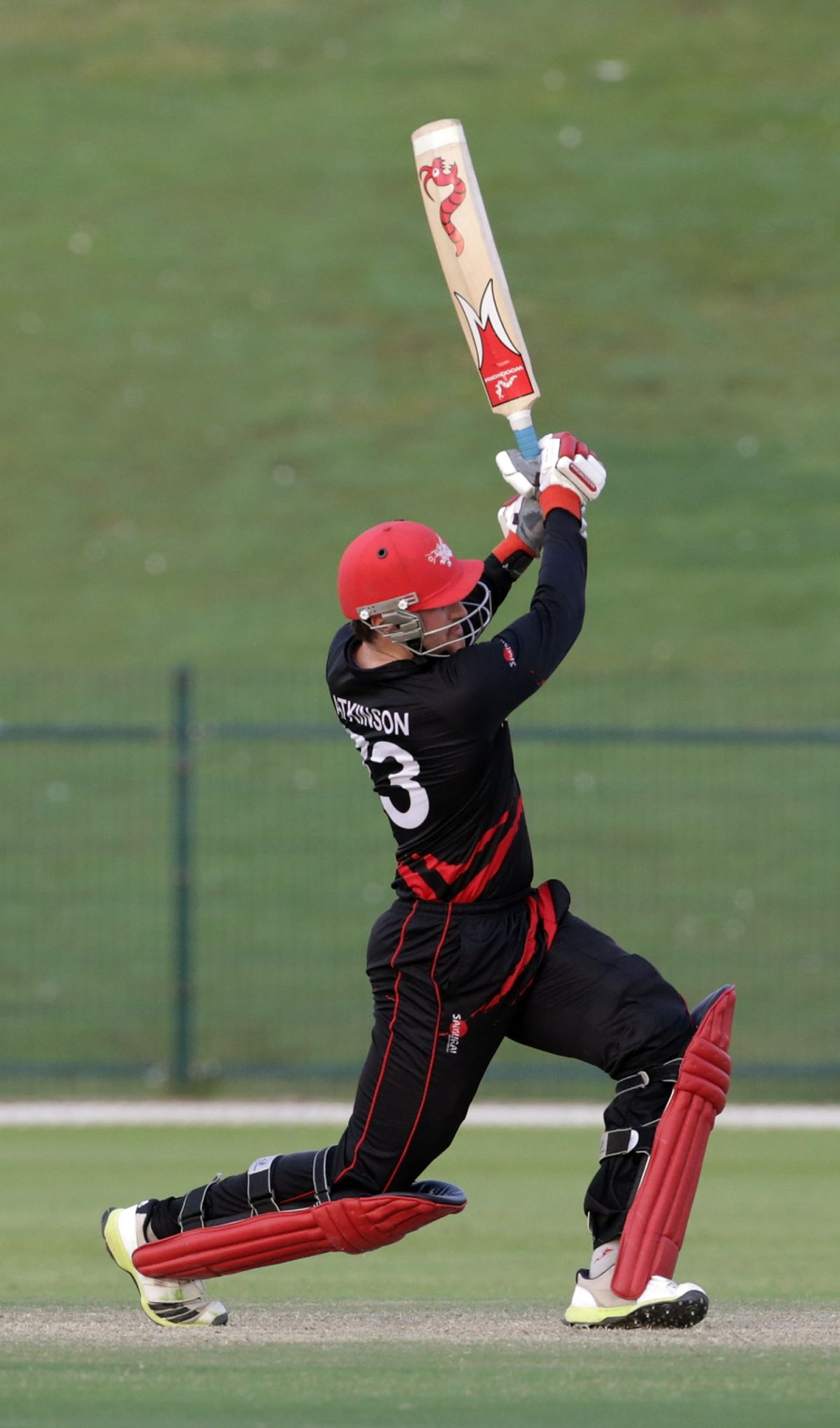 Jamie Atkinson batting against Ireland | ESPNcricinfo.com