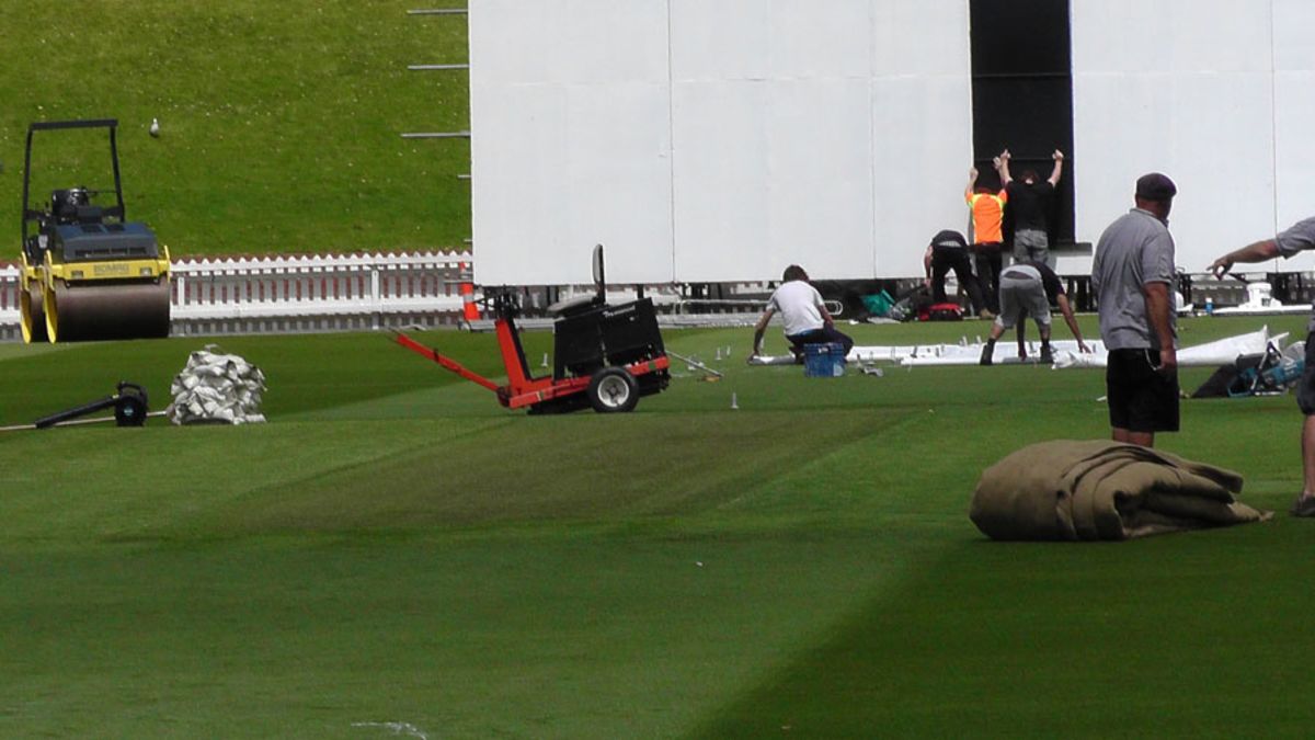 The pitch at the Basin Reserve | ESPNcricinfo.com