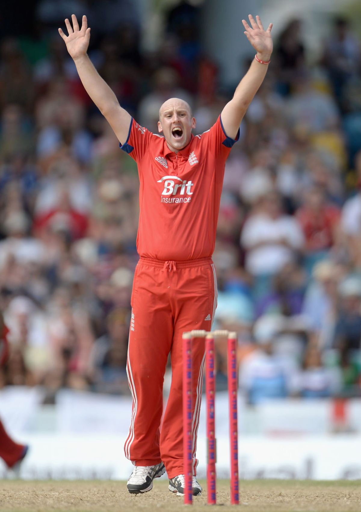 James Tredwell won an lbw decision against Chris Gayle | ESPNcricinfo.com
