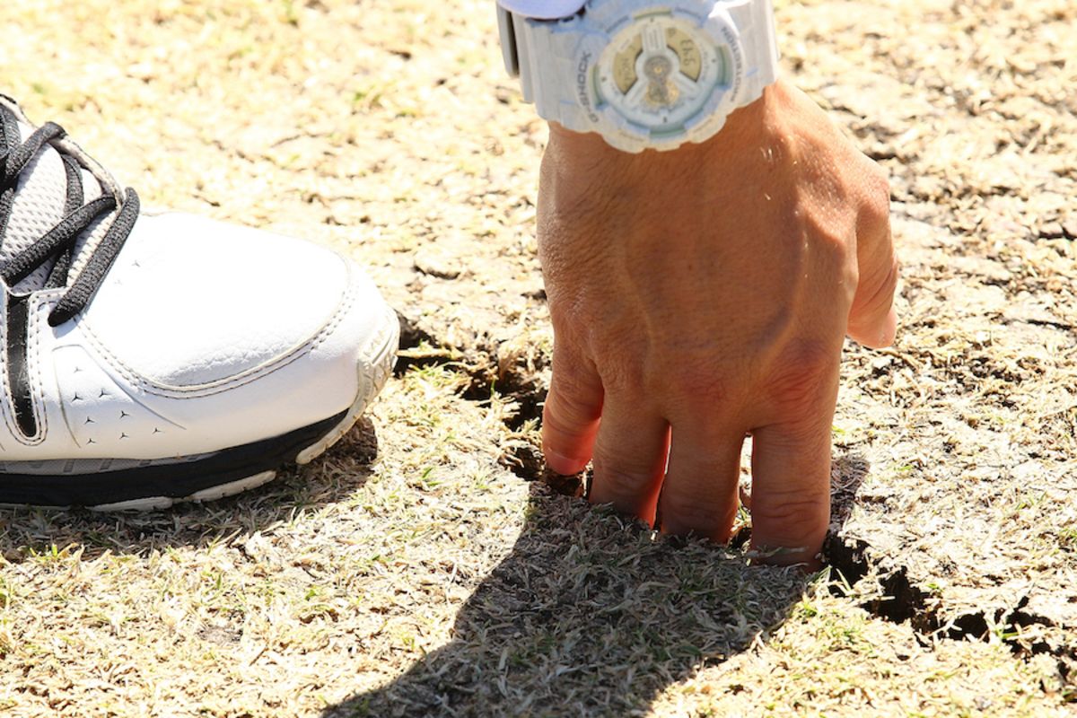 The crack on the WACA pitch | ESPNcricinfo.com
