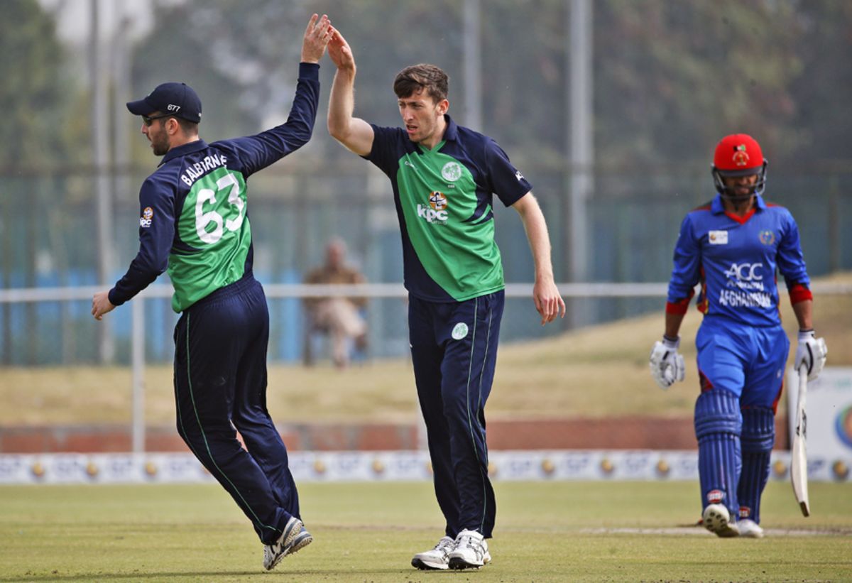 Peter Chase celebrates the dismissal of Noor Ali Zadran | ESPNcricinfo.com