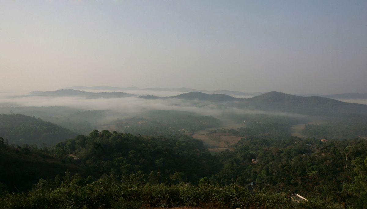 Coorg's mist covered hills and rolling meadows are perfect for growing ...