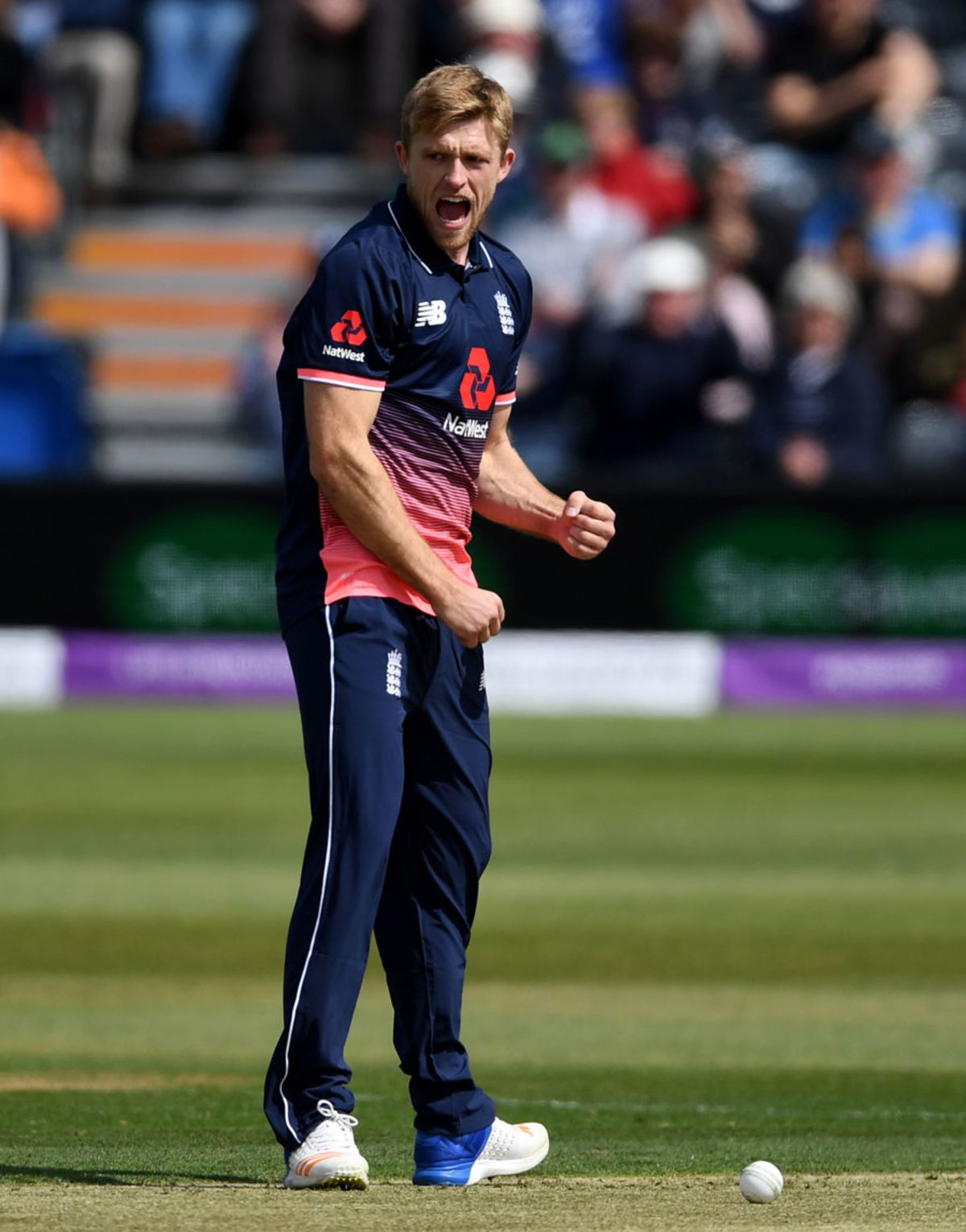 David Willey celebrates winning an lbw decision | ESPNcricinfo.com