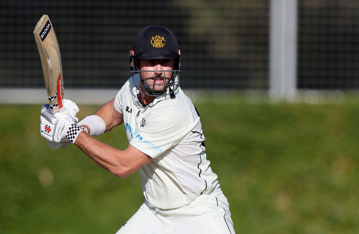 Nick Larkin made his fourth first-class century | ESPNcricinfo.com