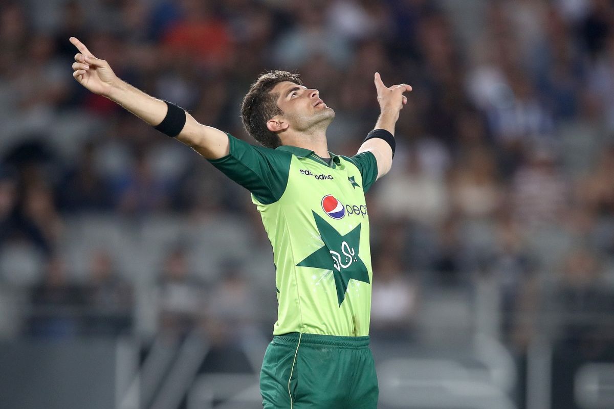 Shaheen Afridi celebrates a wicket | ESPNcricinfo.com
