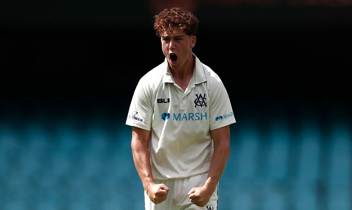 Mitch Perry picked up five wickets against New South Wales ...