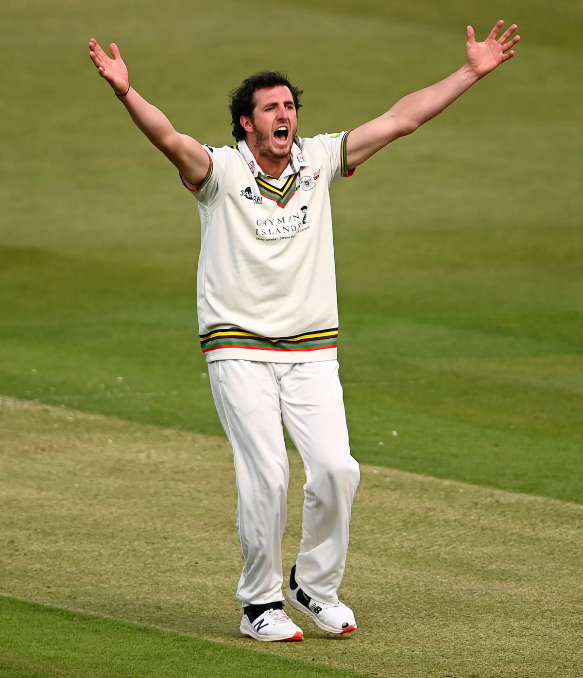 Daniel Worrall of Gloucestershire goes up in appeal | ESPNcricinfo.com