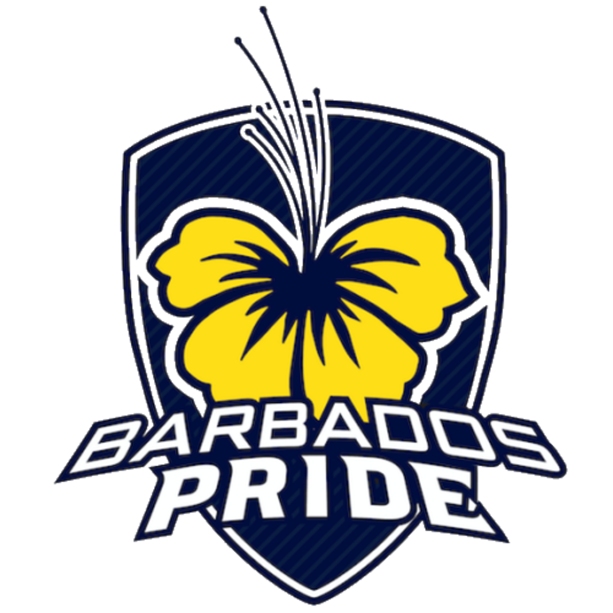 Barbados team logo | ESPNcricinfo.com