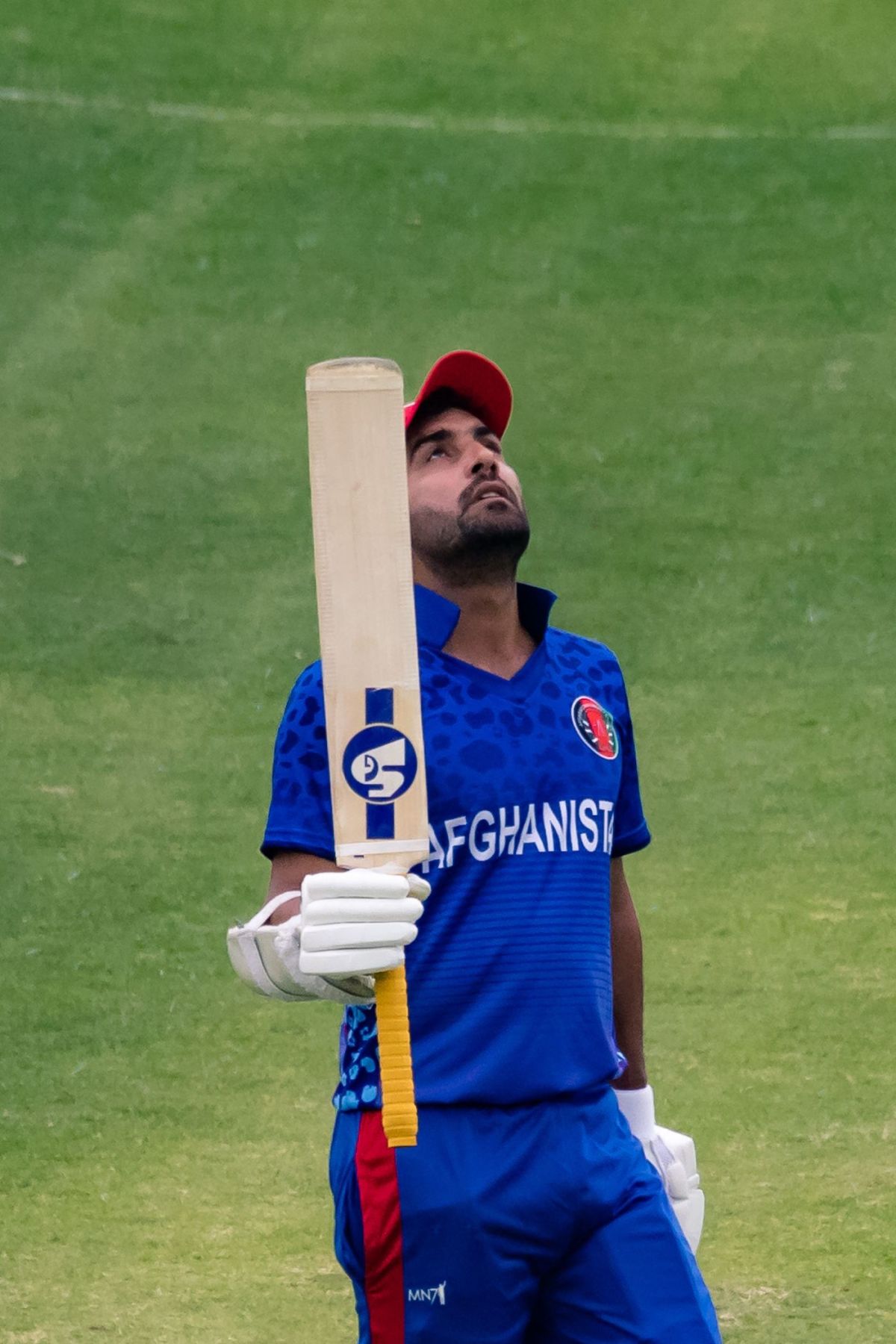 Hashmatullah Shahidi got to his half-century off 75 balls ...