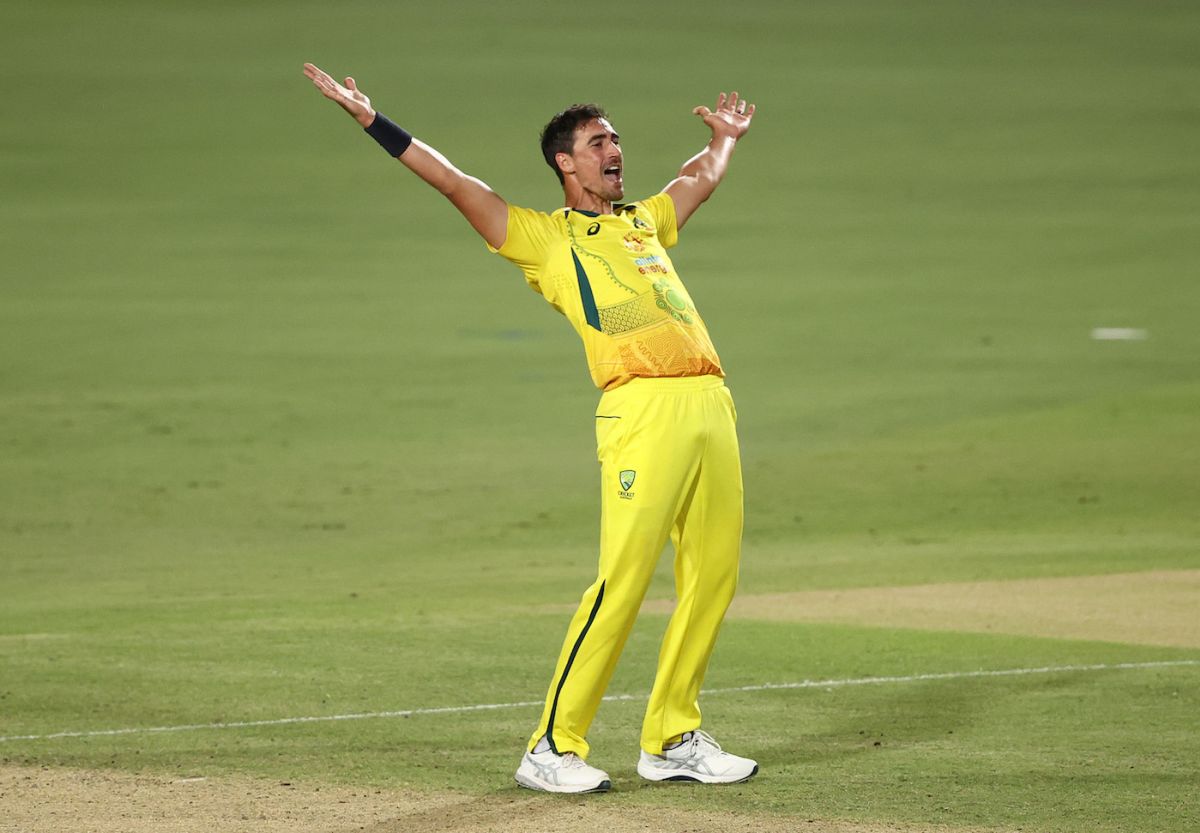 Mitchell Starc goes up in an appeal | ESPNcricinfo.com Mitchell Starc goes up in an appeal | ESPNcricinfo.com