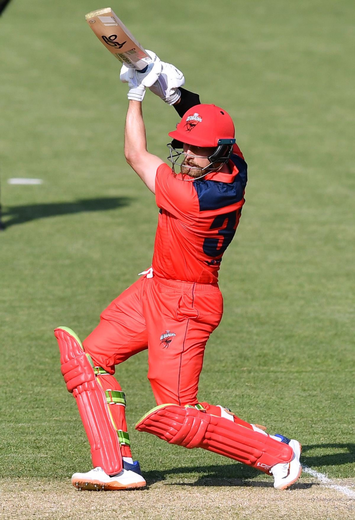 Jake Lehmann steered his side home | ESPNcricinfo.com