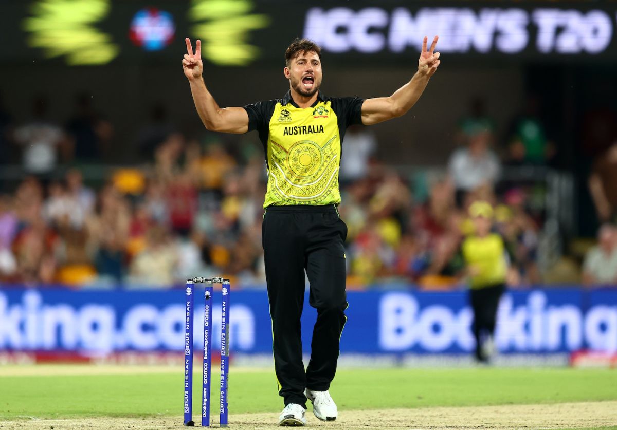 Marcus Stoinis muscles out a victory sign after removing Gareth Delany ...