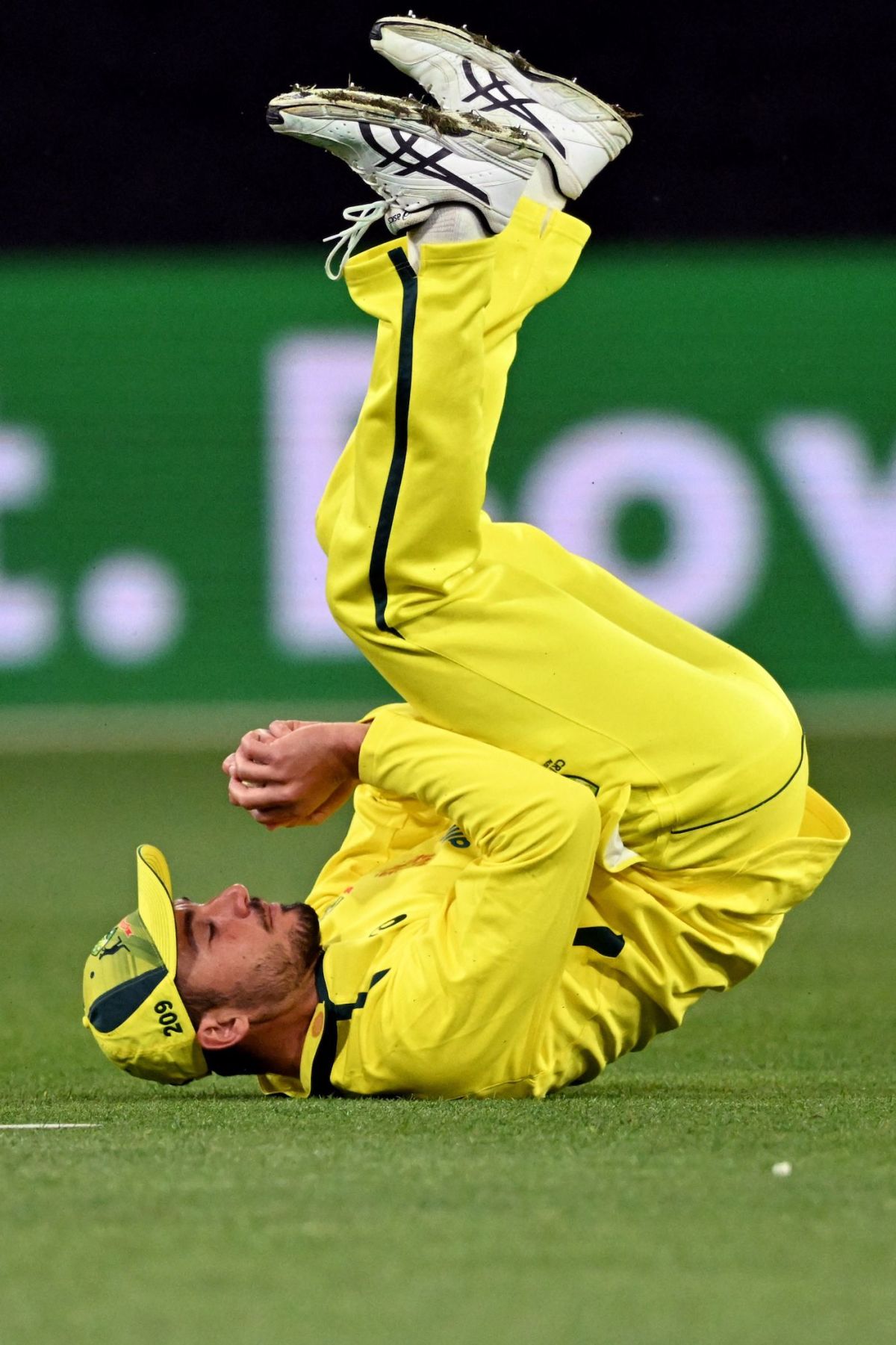 Marcus Stoinis takes a tumble as he holds on to a catch to dismiss Jos ...