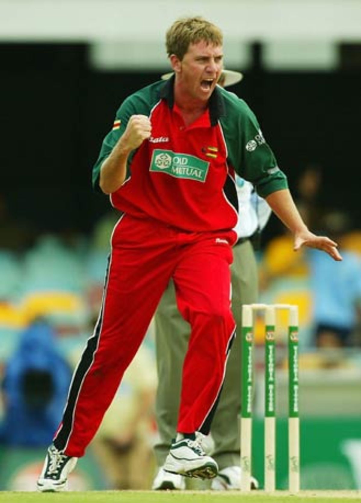 Zimbabwe were buoyed by success, but India still scored 255 ...