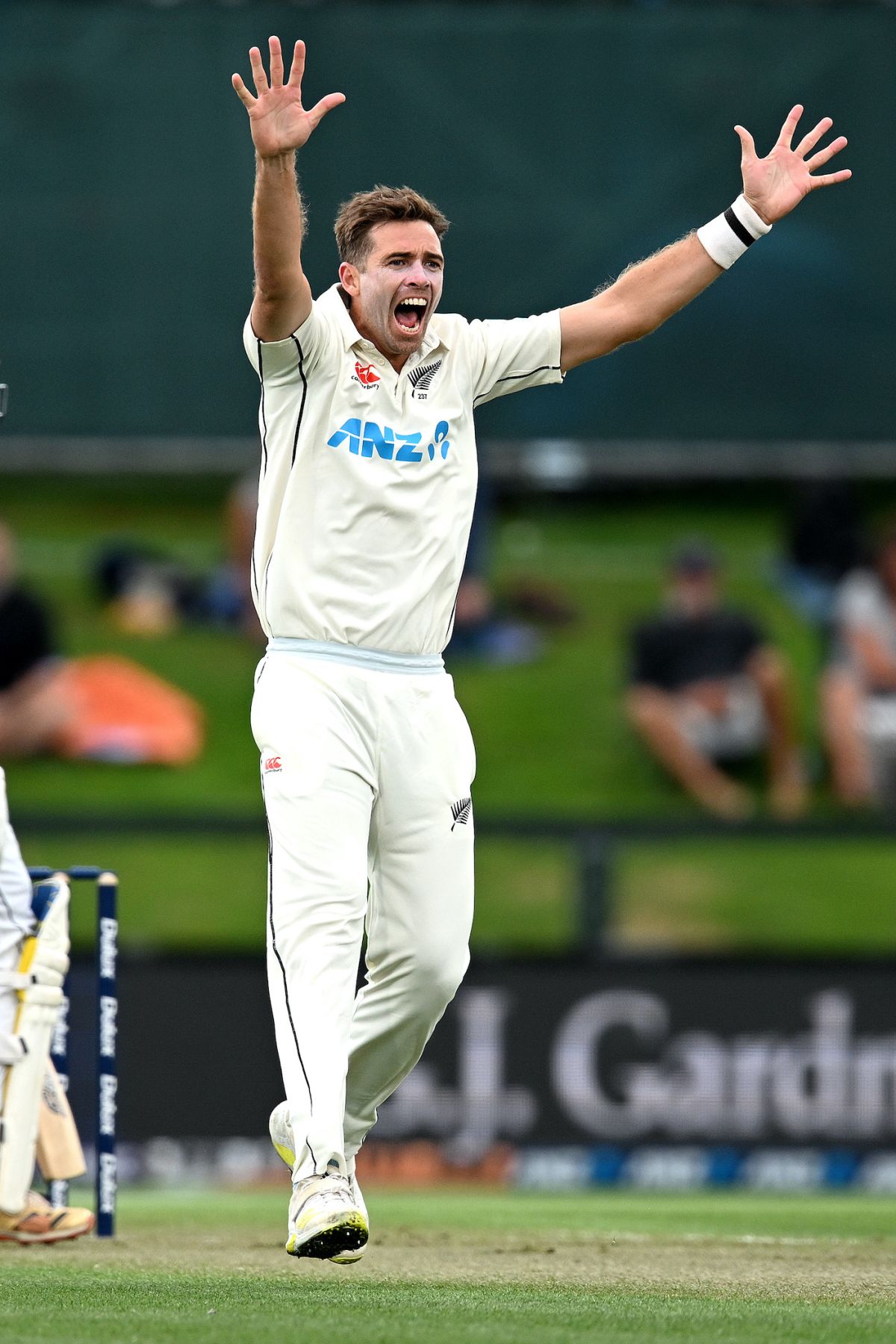 Tim Southee took the first wicket | ESPNcricinfo.com