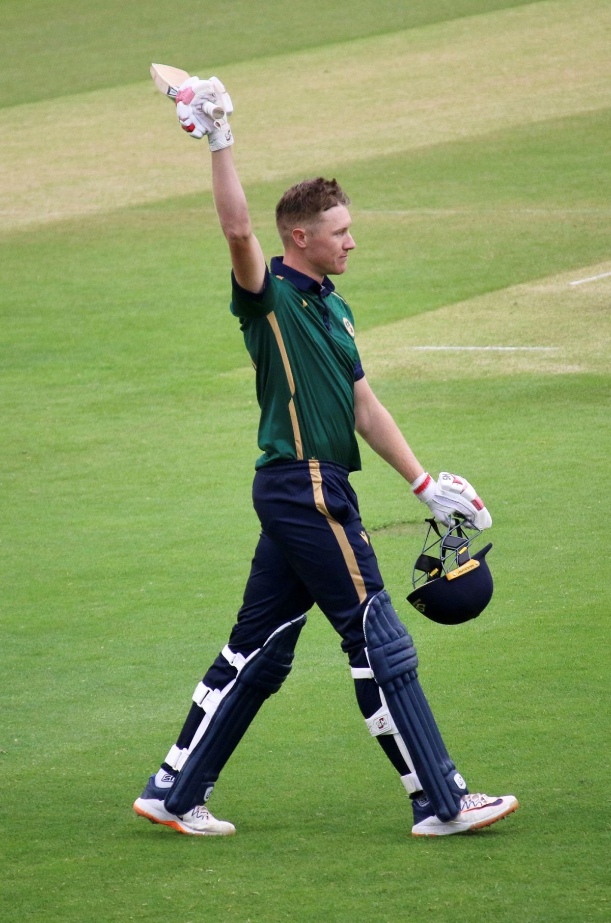 Harry Tector celebrates his century | ESPNcricinfo.com