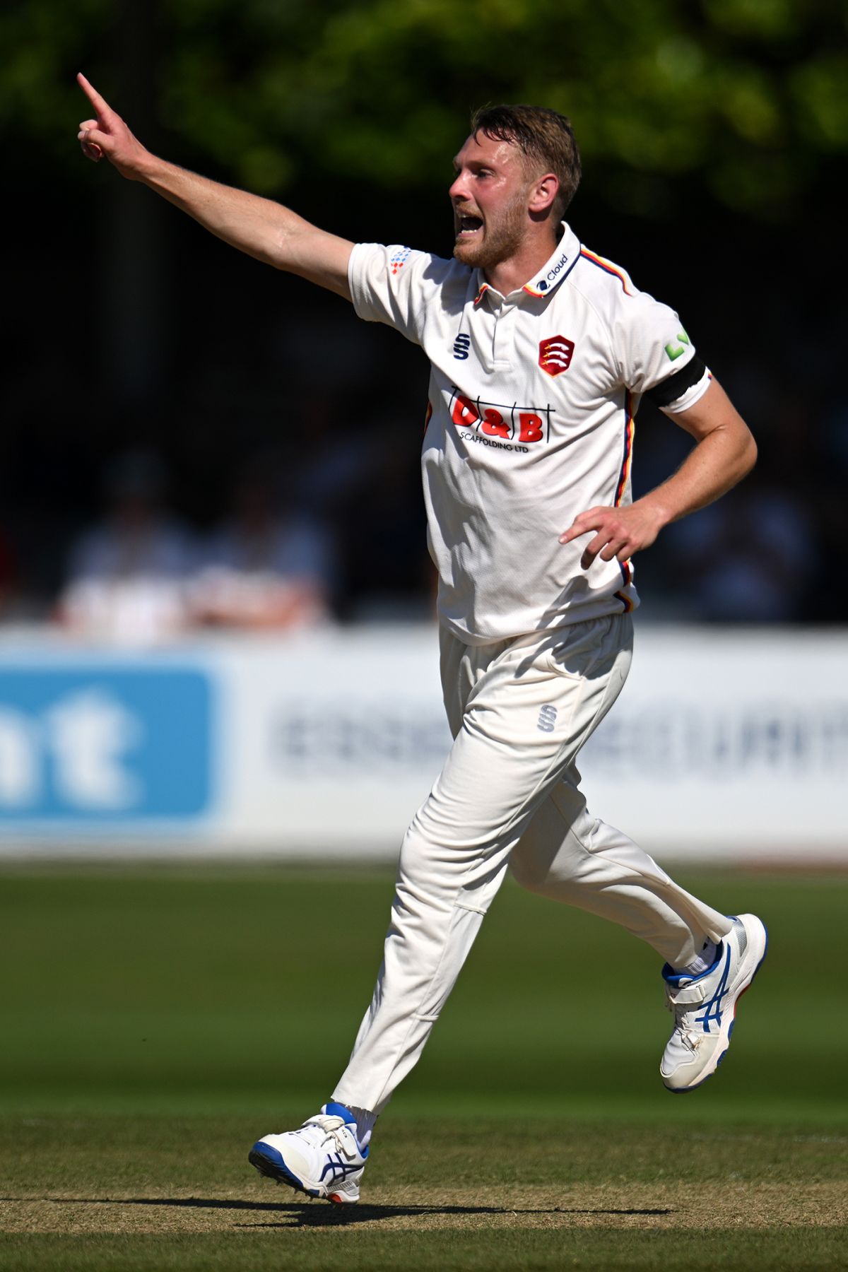 Jamie Porter made the early inroads | ESPNcricinfo.com