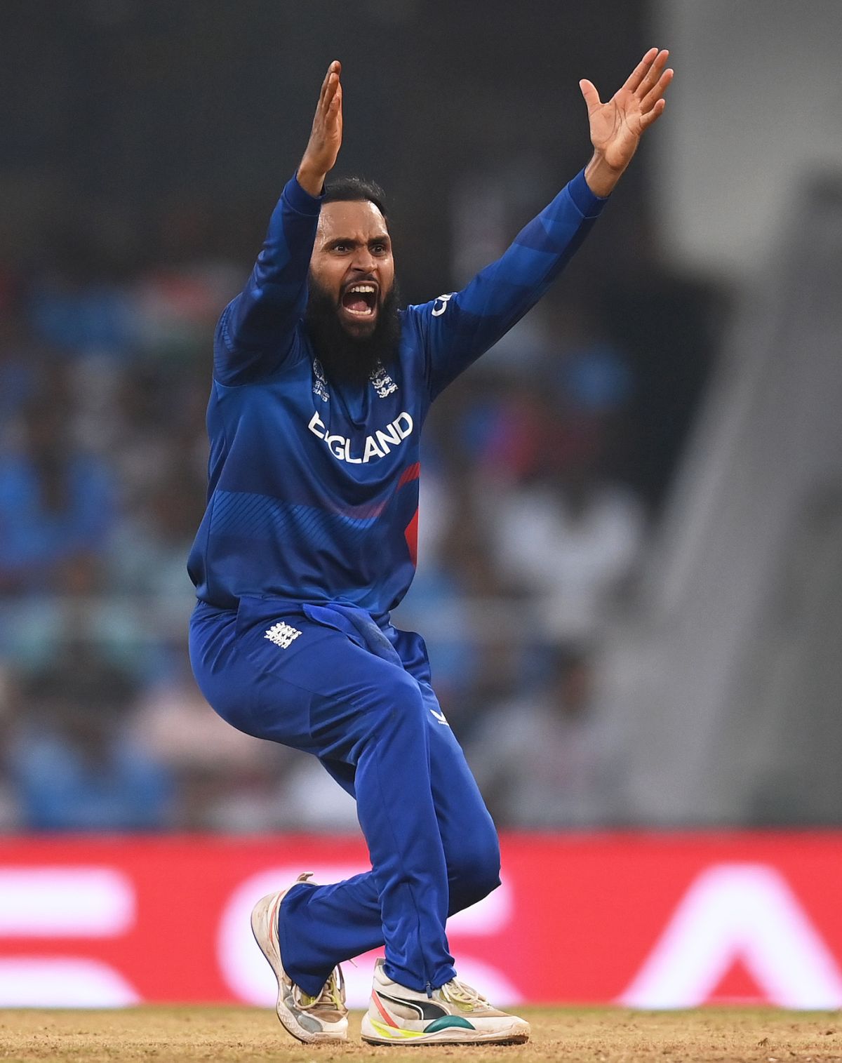 Mark Wood celebrates after getting Mohammed Shami to nick off ...