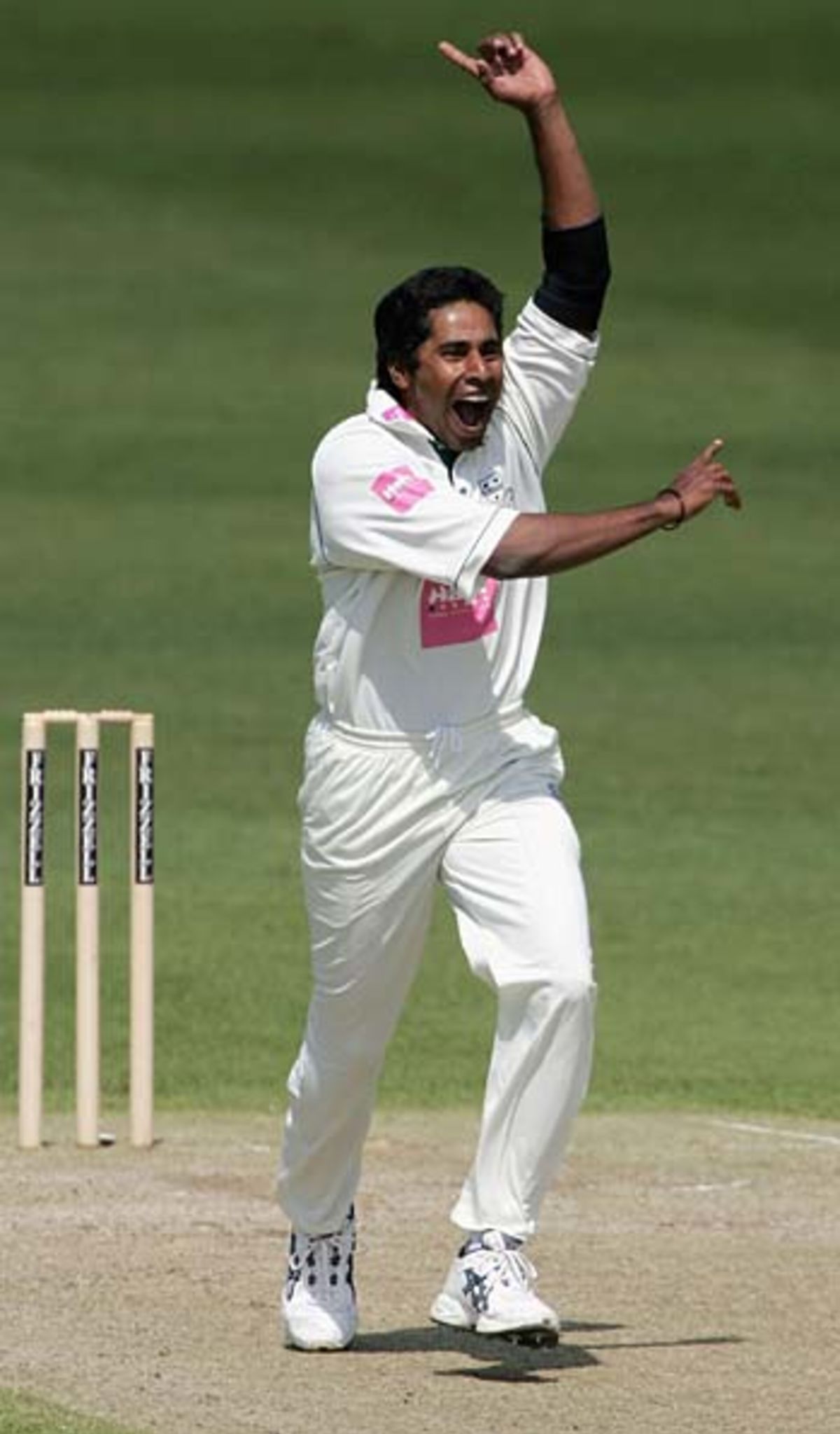 Alan Richardson celebrates the wicket of Kadeer Ali | ESPNcricinfo.com