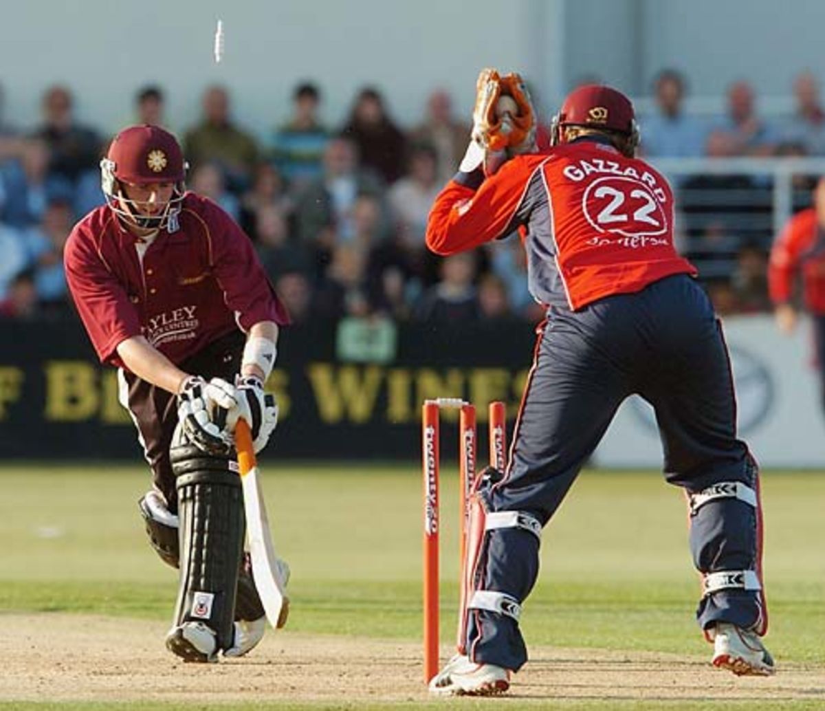 Ireland's Gordon Cooke celebrates a wicket | ESPNcricinfo.com