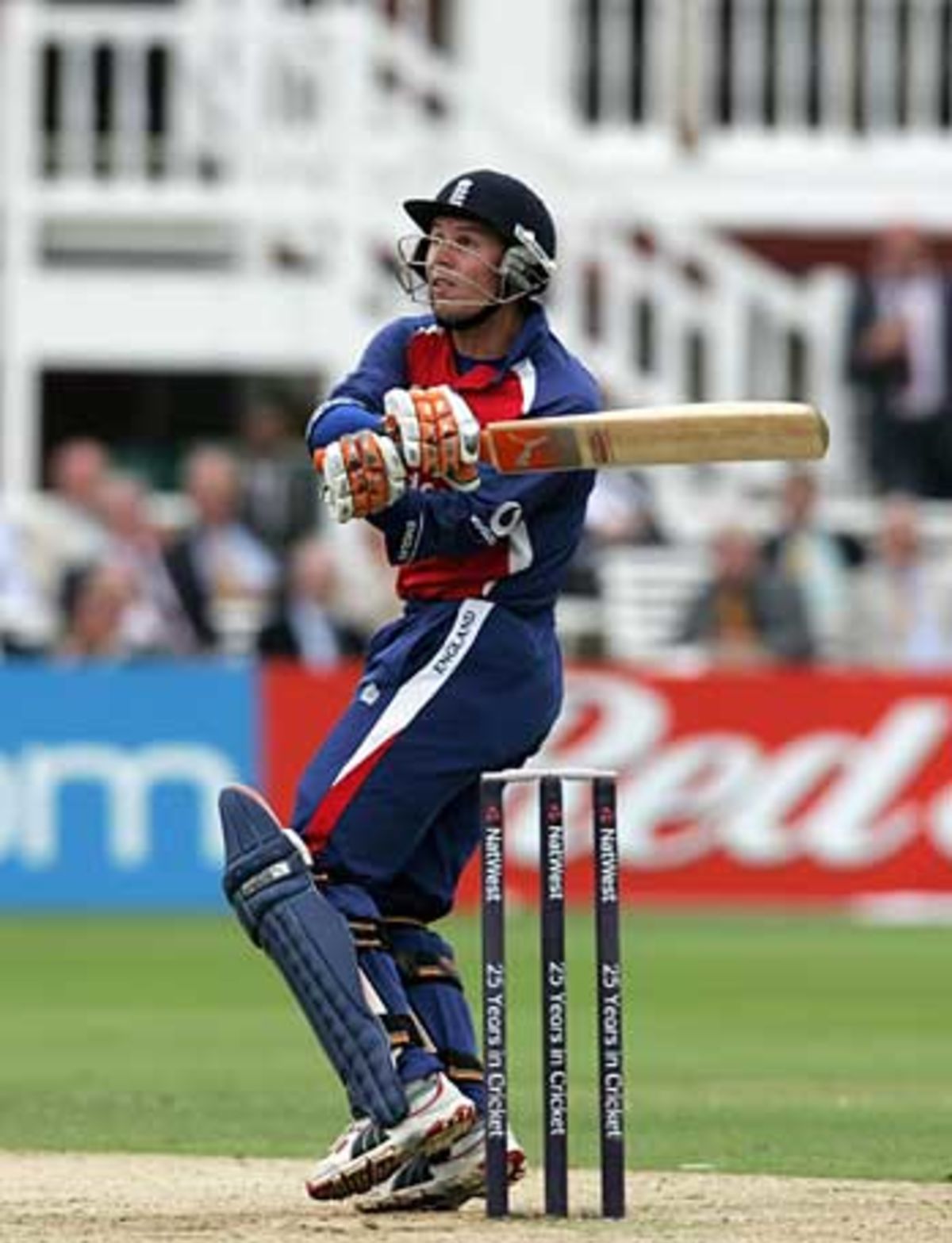 Geraint Jones pulls during his 71 | ESPNcricinfo.com