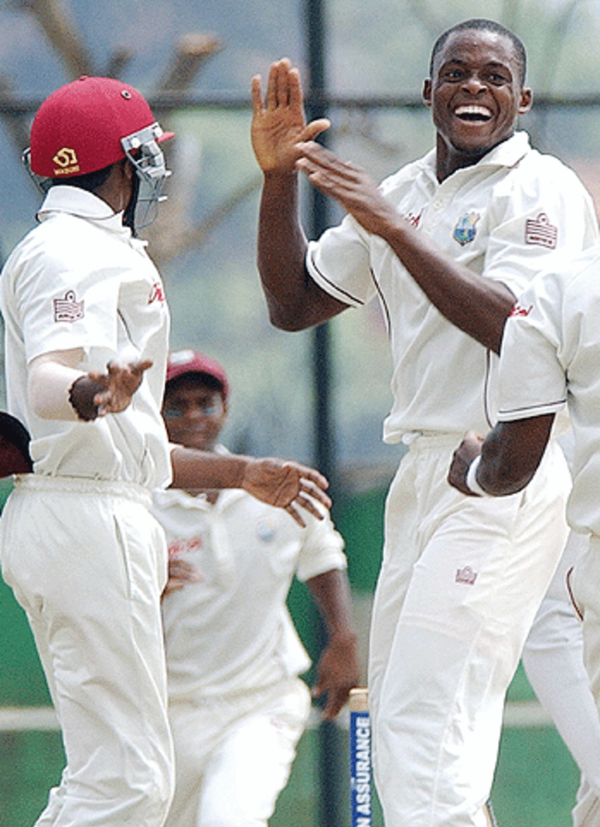 Daren Powell celebrates with his team-mates the dismissal of Sanath ...