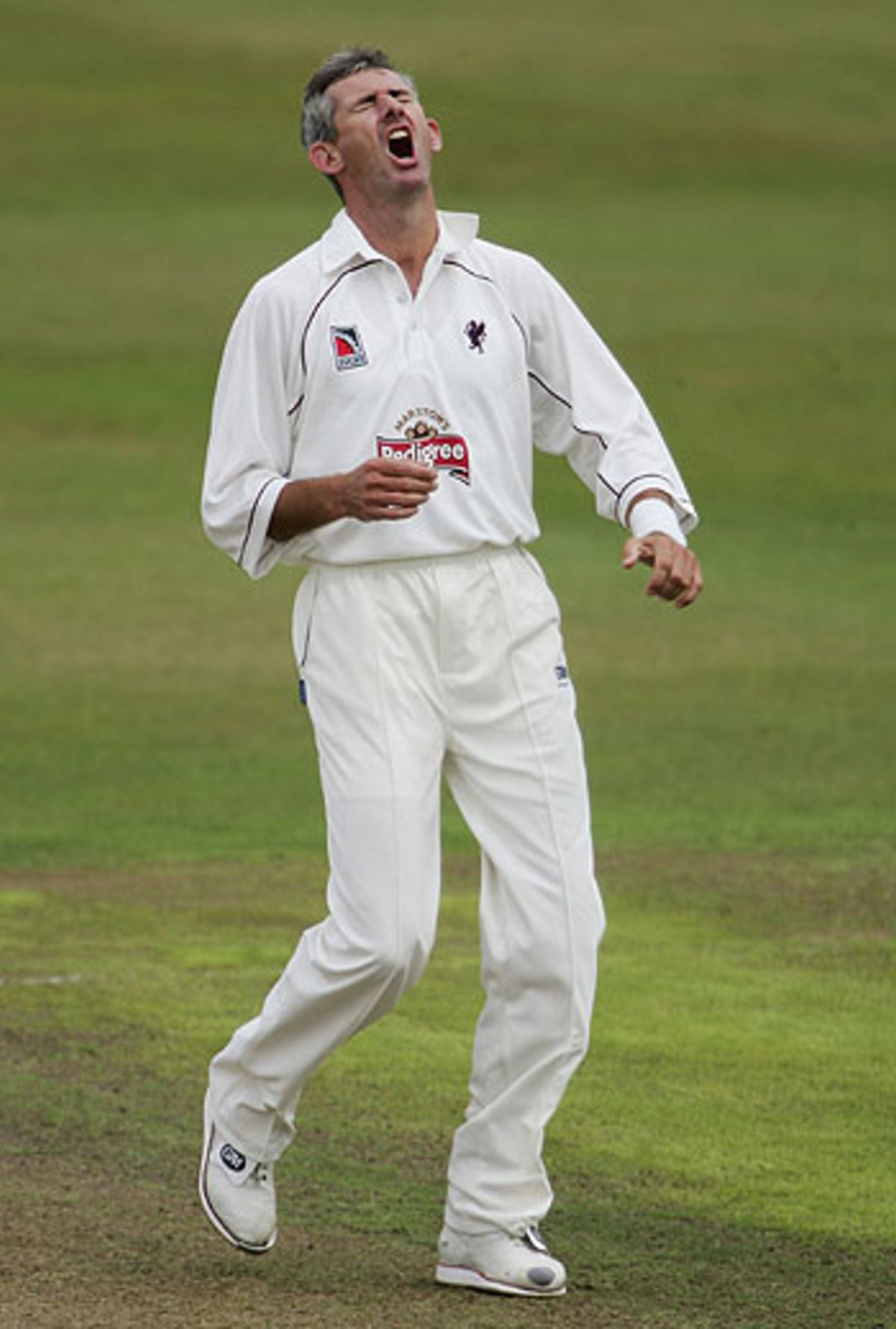 Andrew Caddick vents his frustration | ESPNcricinfo.com